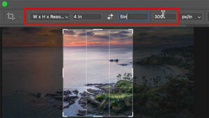 How to Resize a photo to any size and fill the overcrop with Generative Expand in Photoshop ...