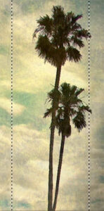 Object selection tool in Photoshop got an update. How to make quality ...