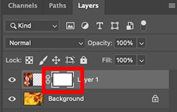 What's new In Photoshop June 2023 - 24.6 - PhotoshopCAFE