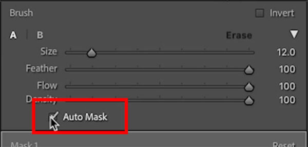 Easy fast way to fix edges of masks in Lightroom and Camera RAW ...