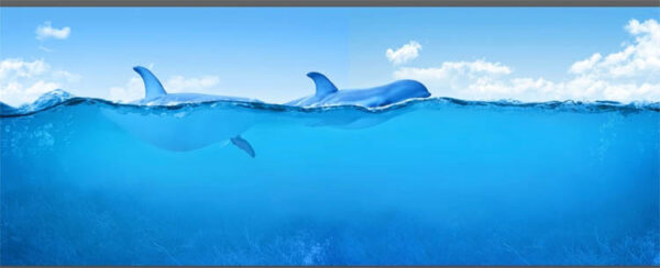 Photoshop 2024 Generative Fill Tips - 16 Fast Tips and tricks ...