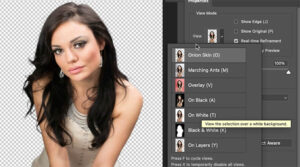 How to use Select and Mask in Photoshop. Refine edges on every cutout ...