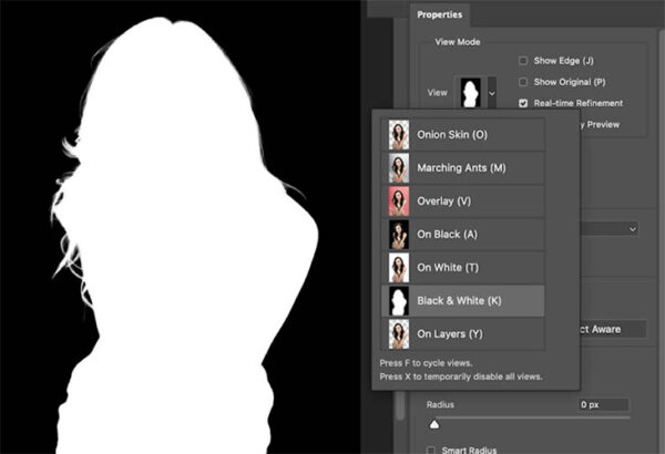 How to use Select and Mask in Photoshop. Refine edges on every cutout ...