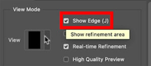 How to use Select and Mask in Photoshop. Refine edges on every cutout ...