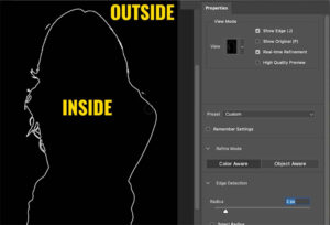 How to use Select and Mask in Photoshop. Refine edges on every cutout ...