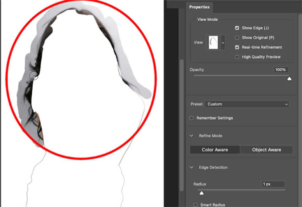 How to use Select and Mask in Photoshop. Refine edges on every cutout ...