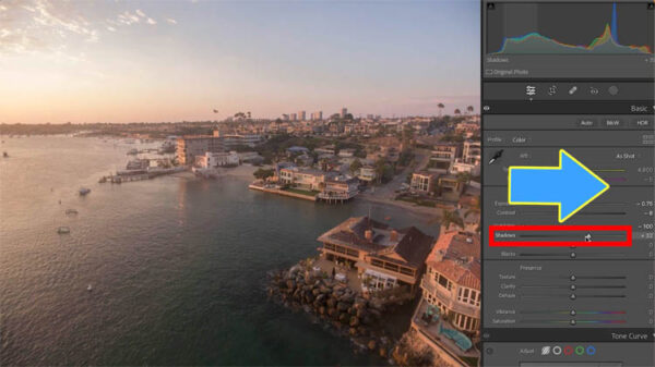 Tone Panel, most important settings in Lightroom and Adobe Camera RAW ...