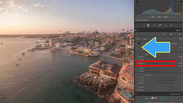 Tone Panel, most important settings in Lightroom and Adobe Camera RAW ...