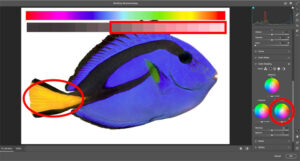 Ultimate Guide to ACR Lightroom Color Grading Tool - PhotoshopCAFE