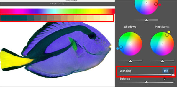 Ultimate Guide to ACR Lightroom Color Grading Tool - PhotoshopCAFE