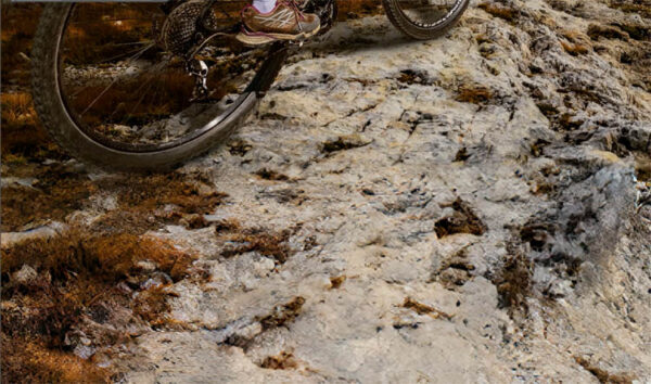 Enhance Detail and increase Resolution in Photoshop Generative ai ...