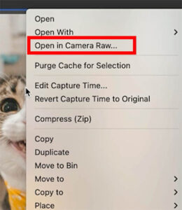 Enhance Detail and increase Resolution in Photoshop Generative ai ...