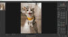 Enhance Detail and increase Resolution in Photoshop Generative ai ...