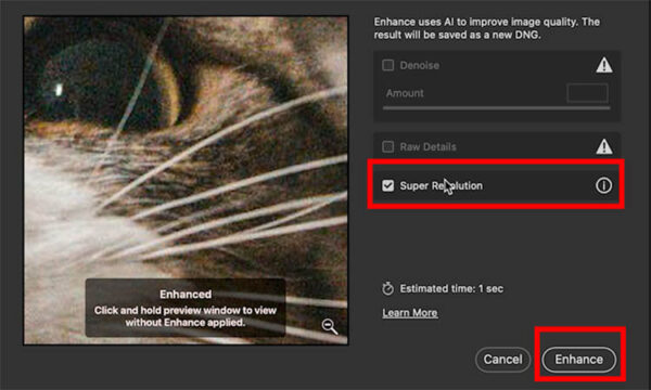 Enhance Detail and increase Resolution in Photoshop Generative ai ...