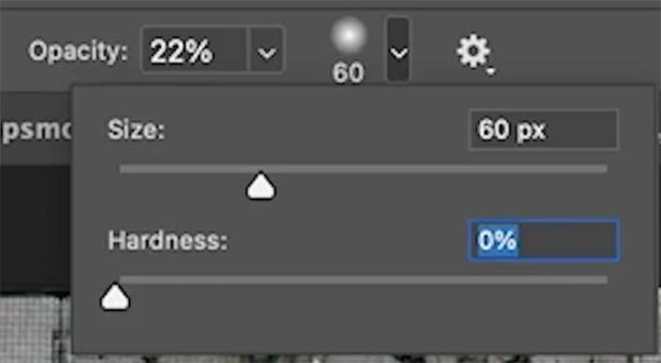 How to use Selection brush in Photoshop and Quick mask in Photoshop ...