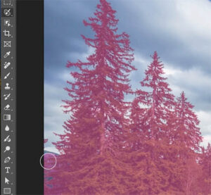 How to use Selection brush in Photoshop and Quick mask in Photoshop ...