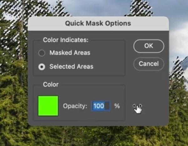 How to use Selection brush in Photoshop and Quick mask in Photoshop ...