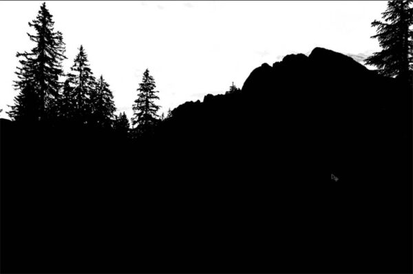 How to use Selection brush in Photoshop and Quick mask in Photoshop ...