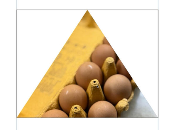 How to use Updated Frame Tool in Photoshop - PhotoshopCAFE