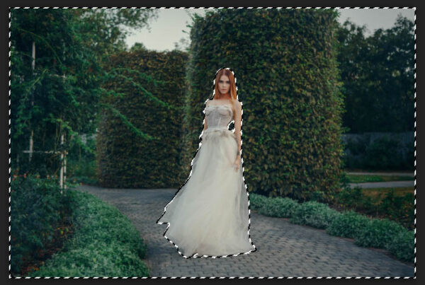 4 levels of background blur in Photoshop, ultimate Blur background ...