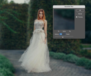4 levels of background blur in Photoshop, ultimate Blur background ...