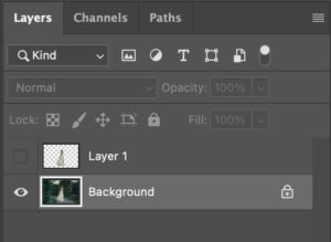 4 levels of background blur in Photoshop, ultimate Blur background ...