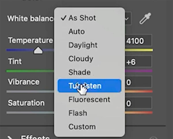 Photoshop Beta New Color and Vibrance - Temperature vs Tint in ...