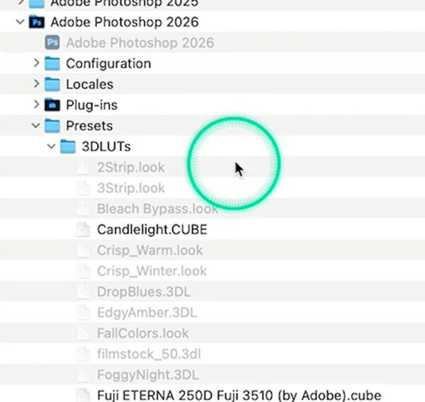 How to use Color LUTs inside Lightroom and Camera Raw - PhotoshopCAFE