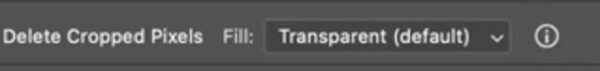 Photoshop, Firefly Fill and expand model. Everything that's new ...